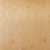 Pre-Coated Birch (Poplar Core) - Plywood City Ltd